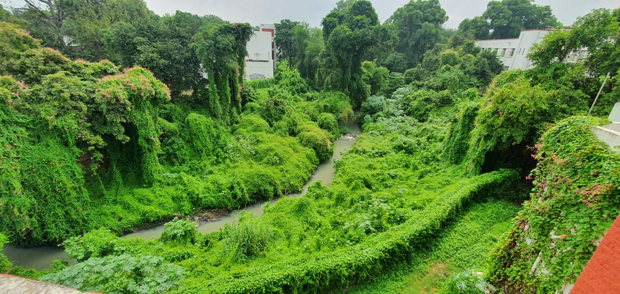 વિદ્યાર્થીઓની મહેનત રંગ લાવી, ભૂખી કાંસને અડીને ૭૫૦ મીટરની બાયો ...