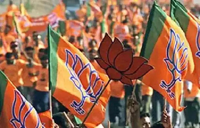 આણંદ જિલ્લા ભાજપ સંગઠનના નવા પ્રમુખો જાહેર સાંસદ-ધારાસભ્યો વચ્ચેની ...